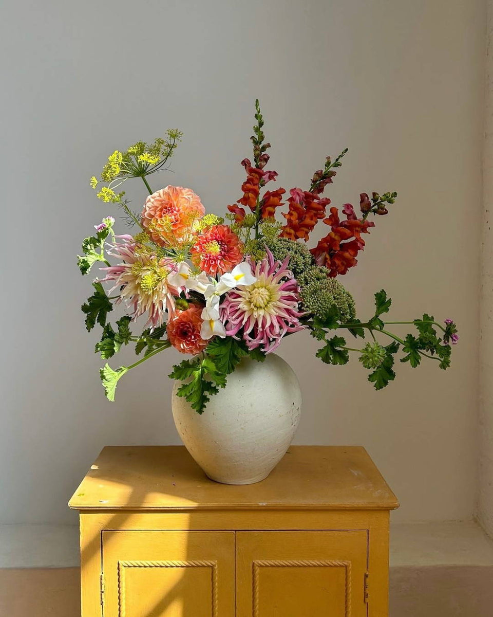 3 Sustainable Subscriptions We Love – Quinn Says